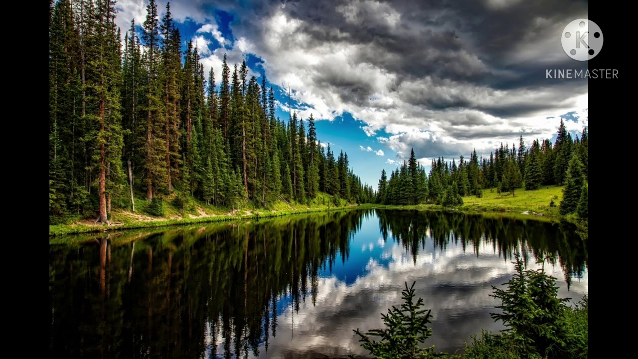 RELAXATION VUE DANS UNE FORET PRES D'UN LAC DE COLORADO - IN A FOREST ...