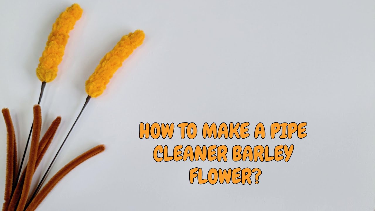 DIY Pipe cleaner Barley flower💛🤎 | Barley flower with Chenille stem ...