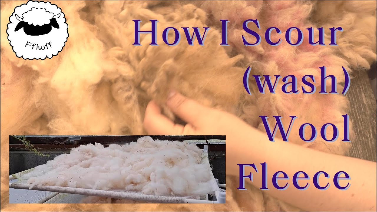Scouring Raw Sheep fleece, Common Mistakes to Avoid! - YouTube