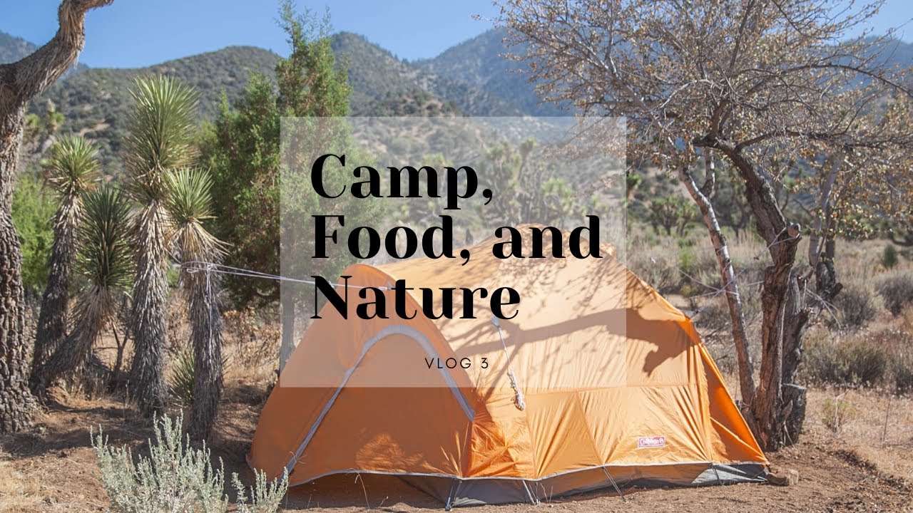 How to create a basic campsite - vlog 3 - YouTube