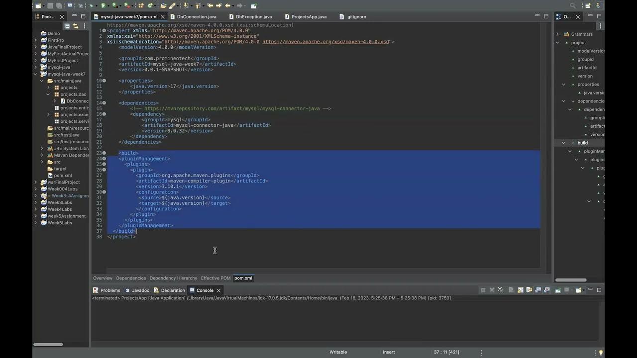 Promineo Tech Week 7 Assignment - YouTube
