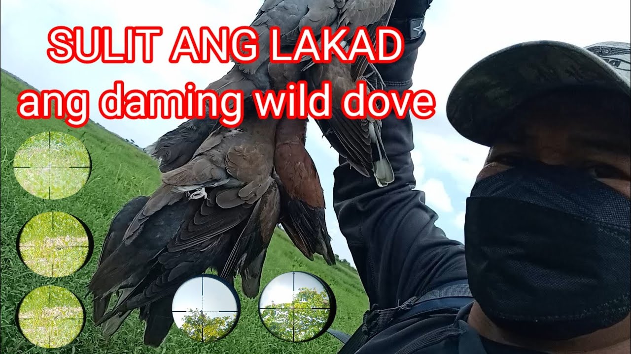 EP3 BIRD HUNTING PEST CONTROL PAGBABAWAS NG MGA PESTE SA ATING MGA ...