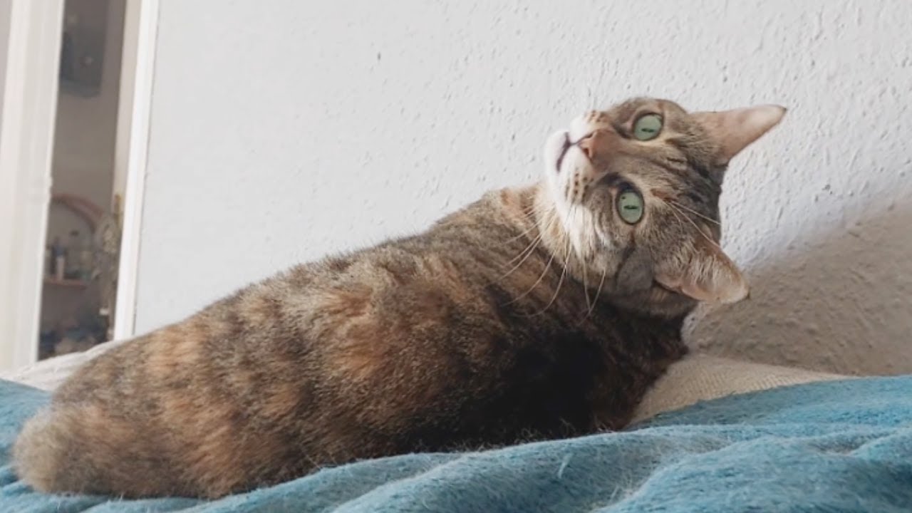 Is She Grumpy Or Just Sleepy? #Emma - YouTube