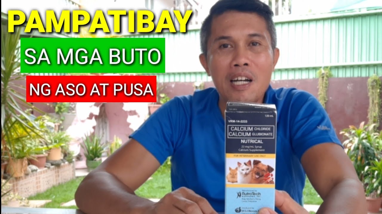 Calcium Vitamin Para Sa Mga Tuta, Kuting, Buntis Na Aso At Pusa At Sa ...