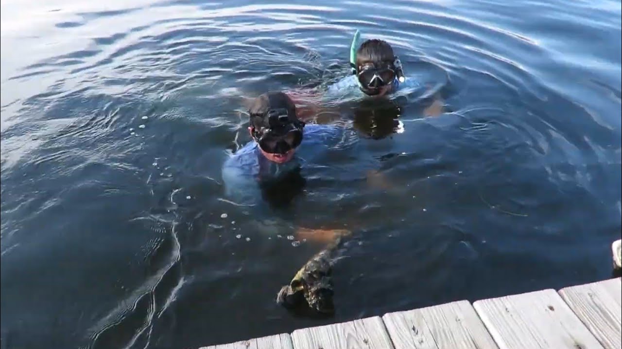 Diving For Treasure In Boat Marina!!! - YouTube