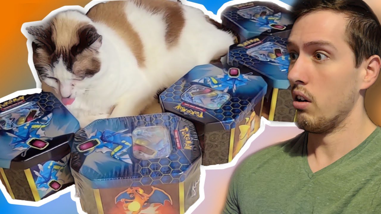 My Cat is HOARDING ALL OF THE HIDDEN FATES REPRINT TINS *New Pokemon ...