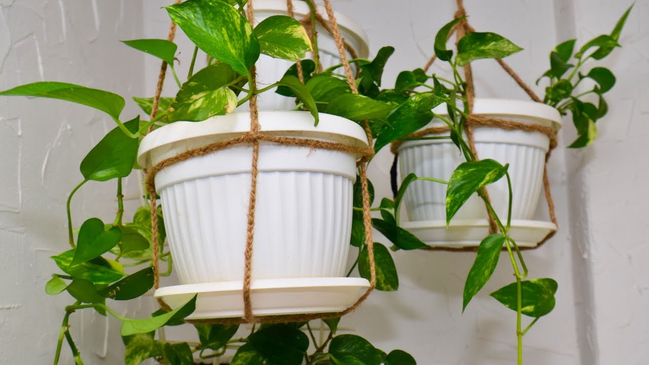 DIY Indoor plants | OTKRIVAMO Kako da Napravite Viseće Saksije - YouTube