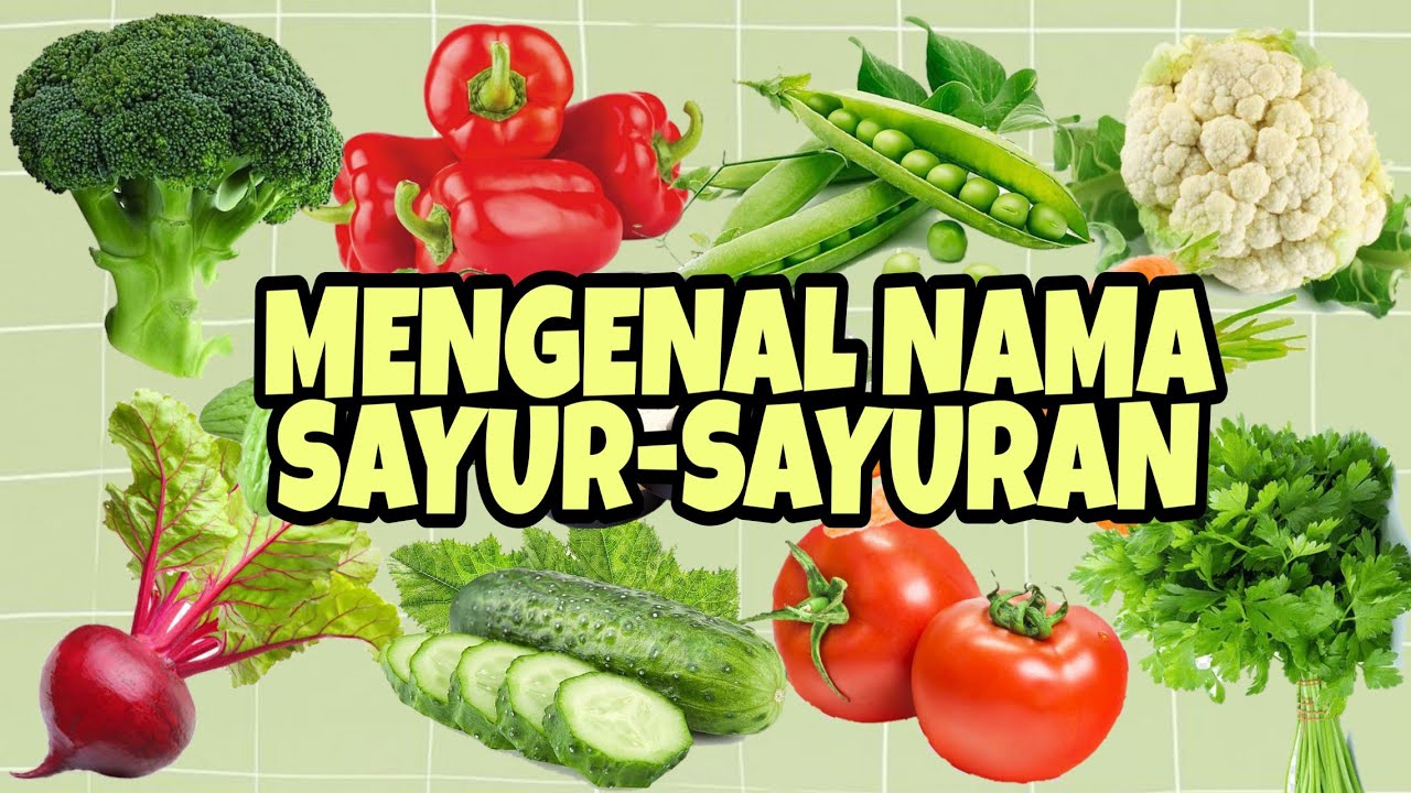 BELAJAR MENGENAL NAMA SAYUR-SAYURAN - YouTube