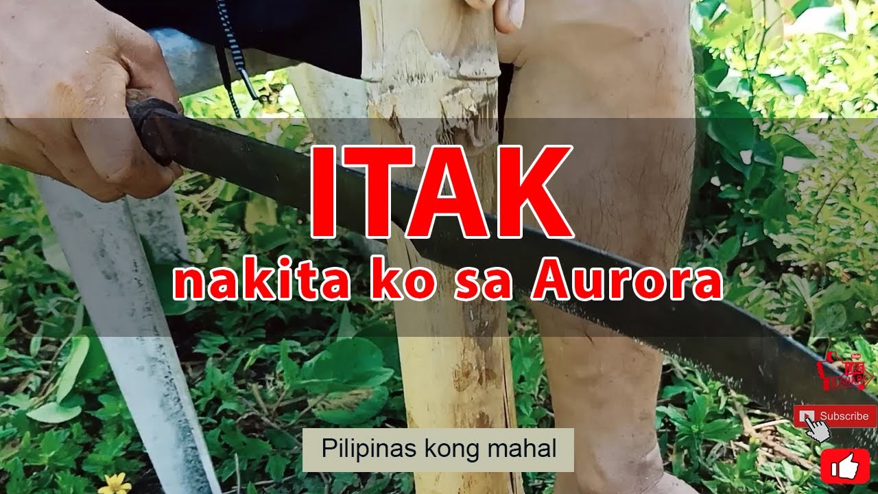 ITAK na nakita ko sa Aurora - YouTube