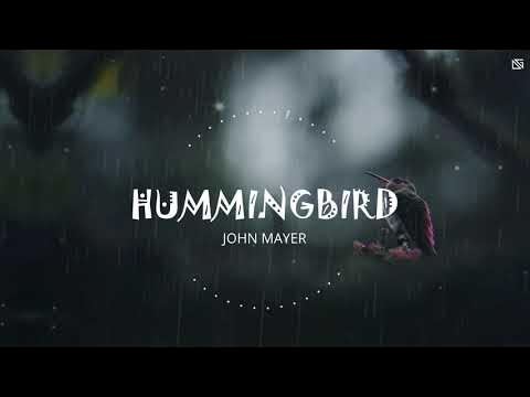 John Mayer - Hummingbird ( Lyrics Video ) - YouTube