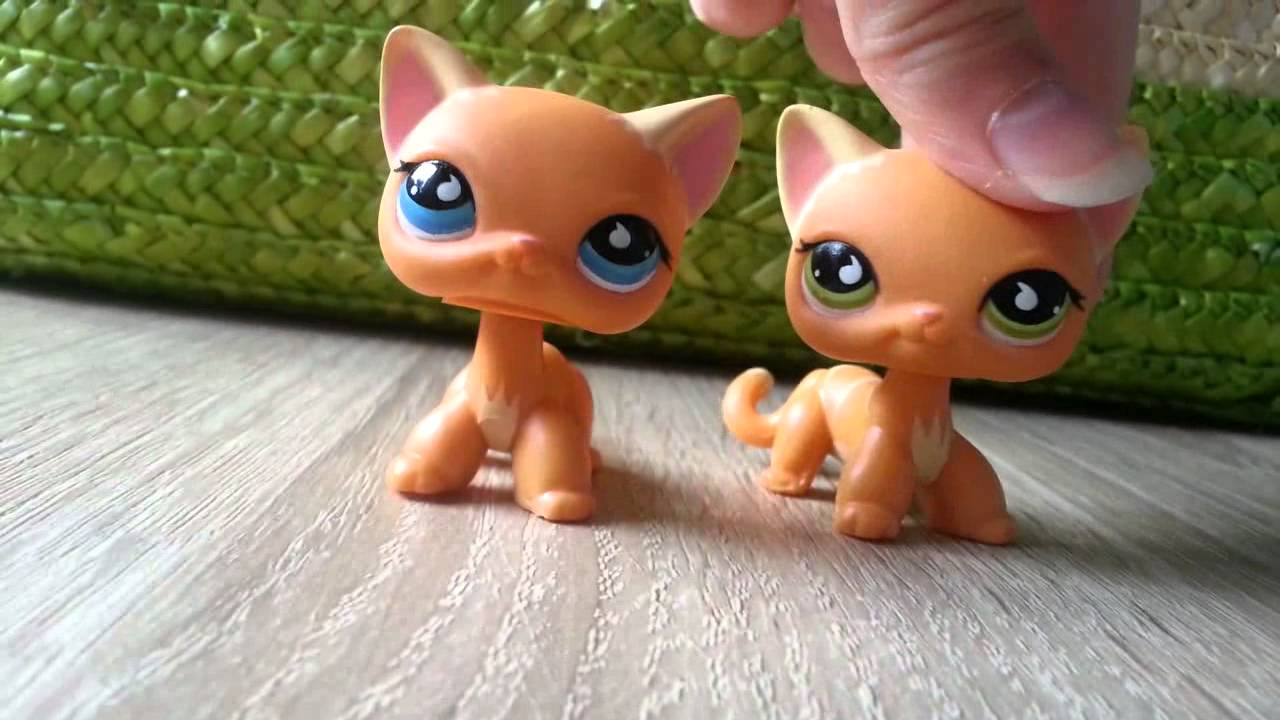 LPS: Shopping #81 + zakończenie roku szkolnego !!! - YouTube