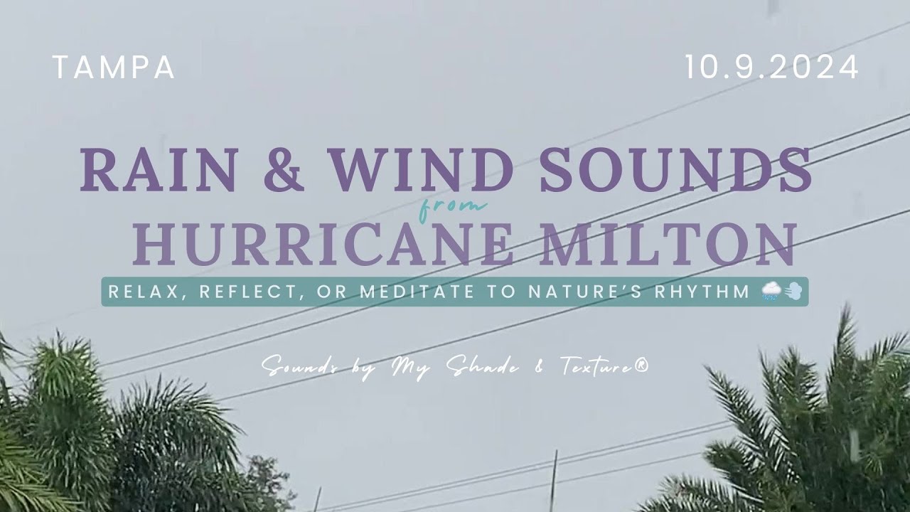 Rain & Wind Sounds from Hurricane Milton | Relax & Reflect with Nature ...