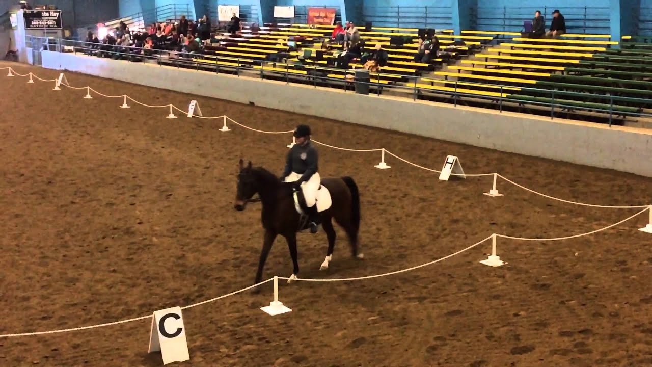 WAHSET 2016 Dressage - YouTube