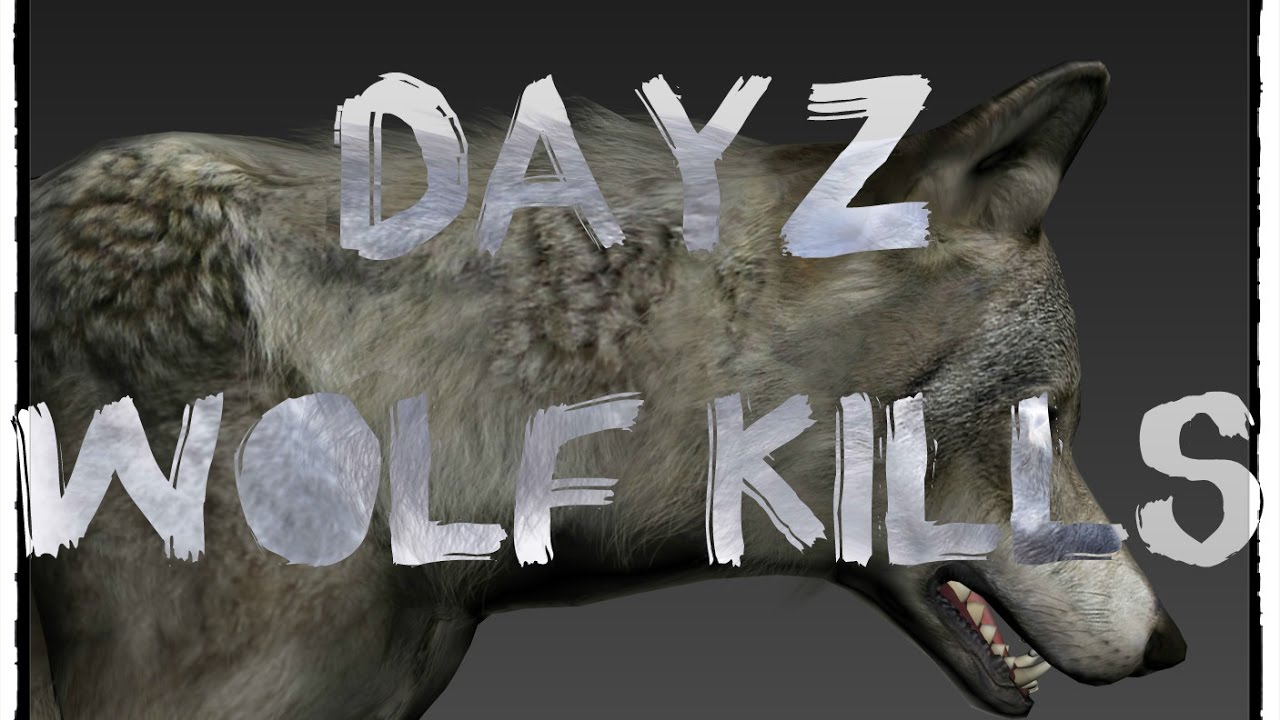 DayZ Wolf Kills - YouTube