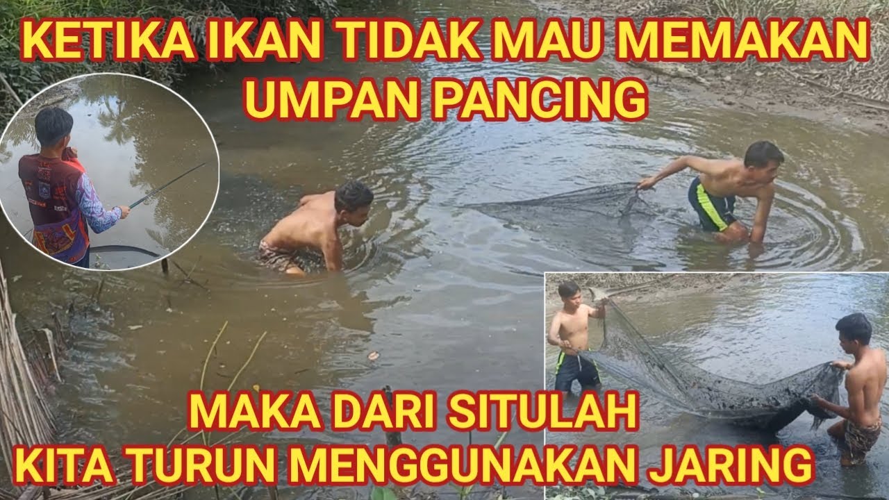 CARA CEPAT MENANGKAP IKAN ‼️ PETUALANGAN #27 - YouTube