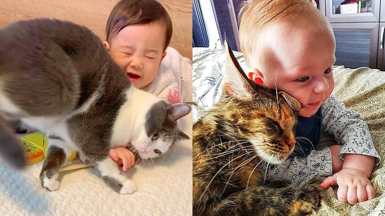 Baby👶 and Cat🐱 Playing | Compilation #2 | Pk Babies - YouTube