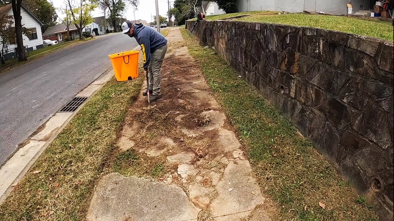 INSANELY OVERGROWN Sidewalk NEGLECTED For YEARS Gets FREE Cleanup - YouTube
