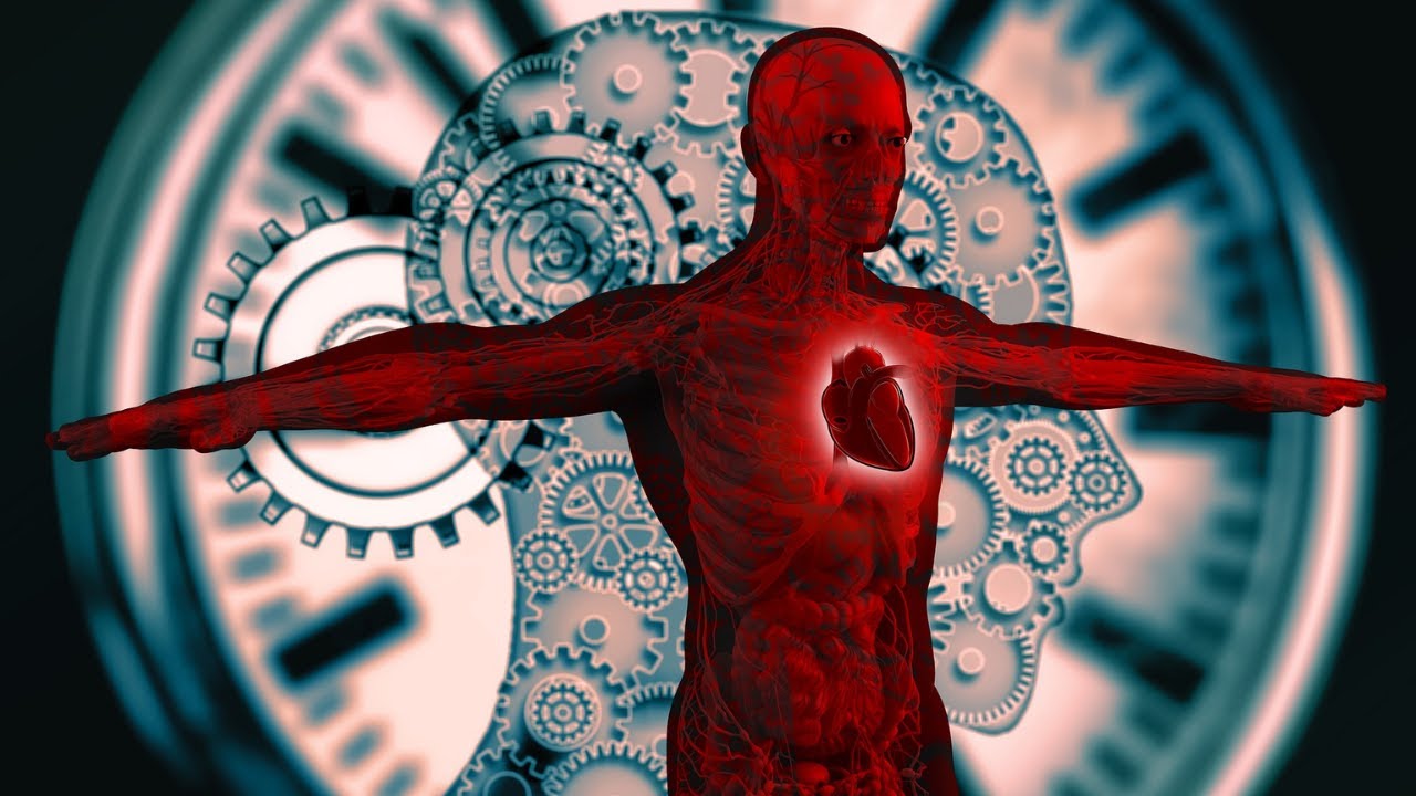 Top 10 Surprising Facts About the Human Body - How Does The Human Body ...