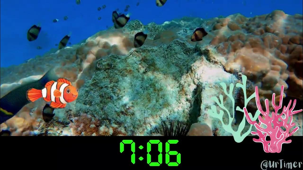 15 Minute Countdown Timer Cute Fish Aquarium with Relaxing Jazz Music - YouTube Music