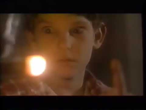 Opening to Shrek 2001 VHS - YouTube