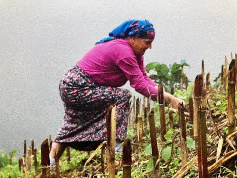Fotoğrafçı Vural Uzlu Kişisel Sergisi