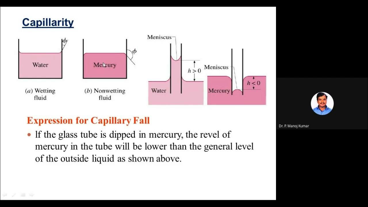 Capillarity - YouTube