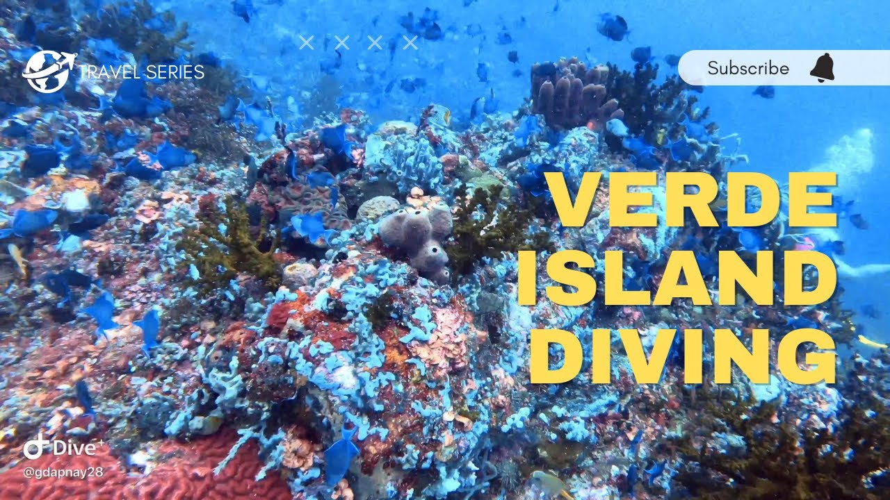 Verde Island Passage Diving - YouTube
