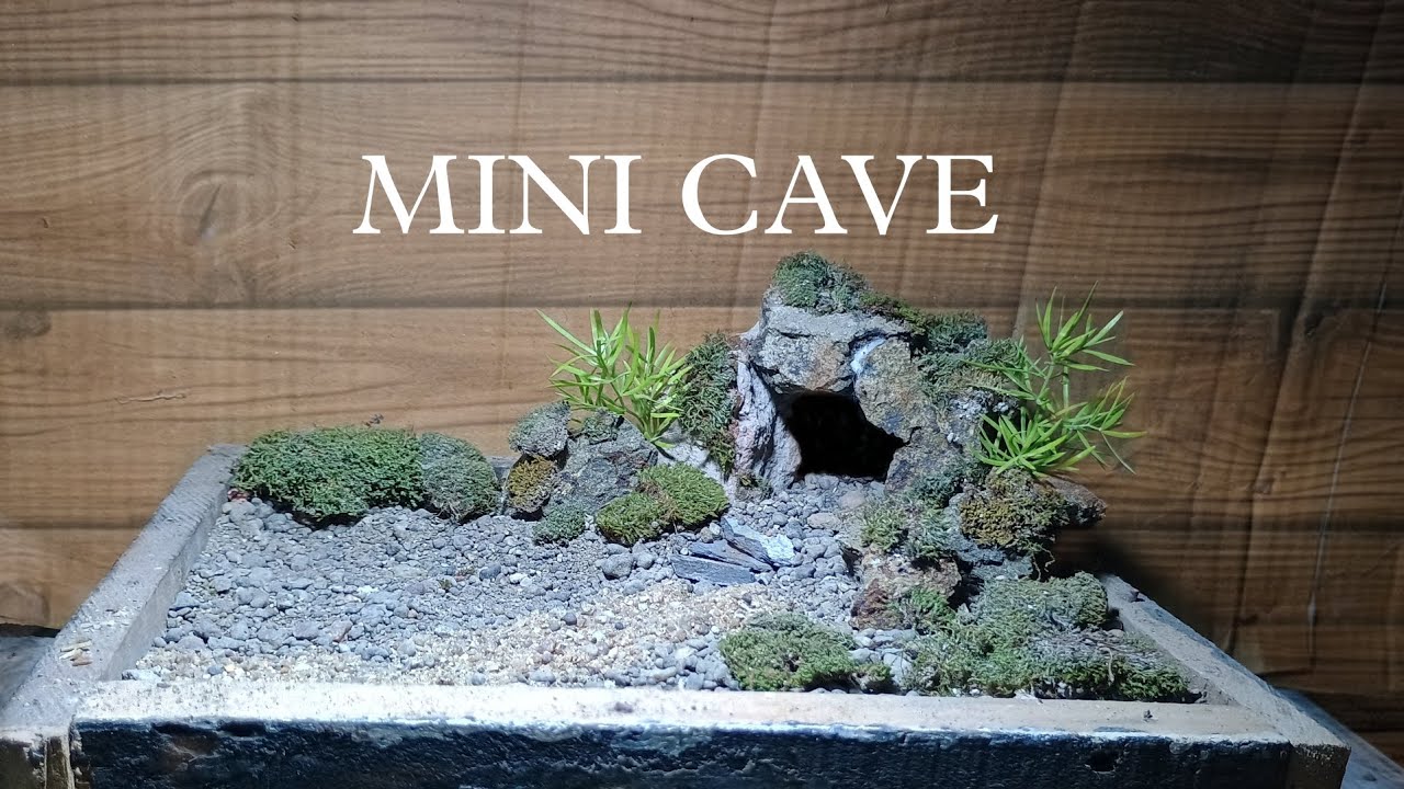 Tiny green ll TINY GREEN ll mini garden ll mini green ll cave ll mini ...