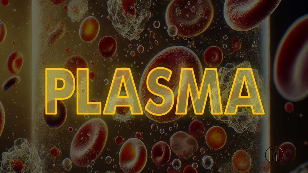 Plasma Sanguíneo: Conceito, Função e Composição - YouTube