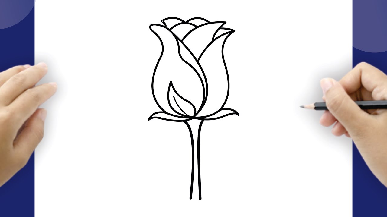 Hur man ritar rosor - steg för steg för nybörjare - YouTube
