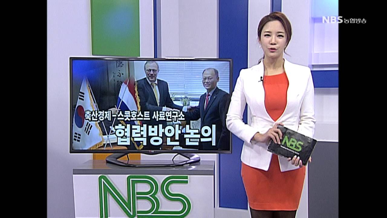 NBS뉴스 (20160229) - YouTube