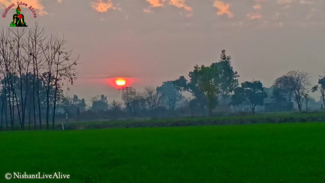 Good Morning Natural Video| Beautiful Sunset|Nature Video High Quality ...