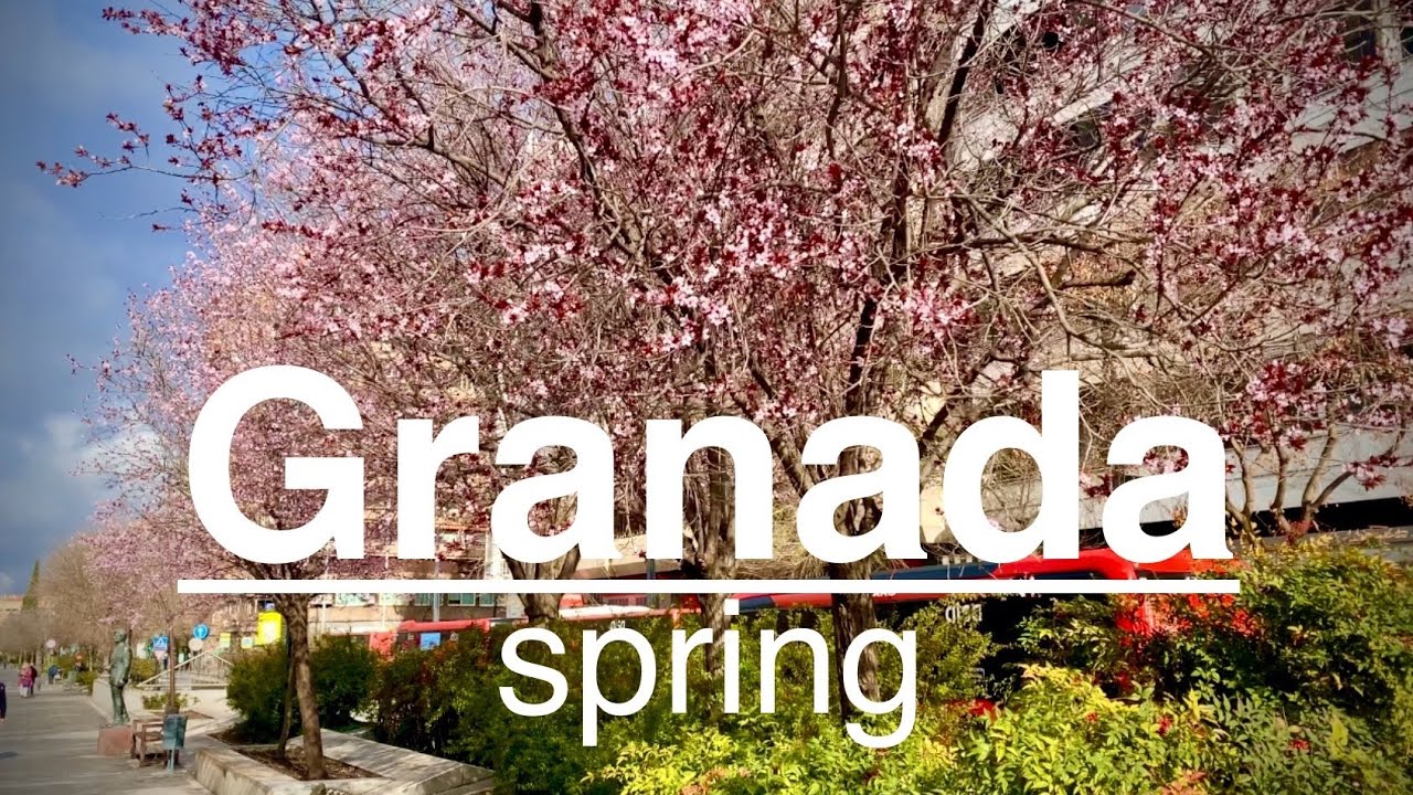 🇪🇸 🌸 Granada’s Spring Awakening in 4K: Exploring Avenida de ...