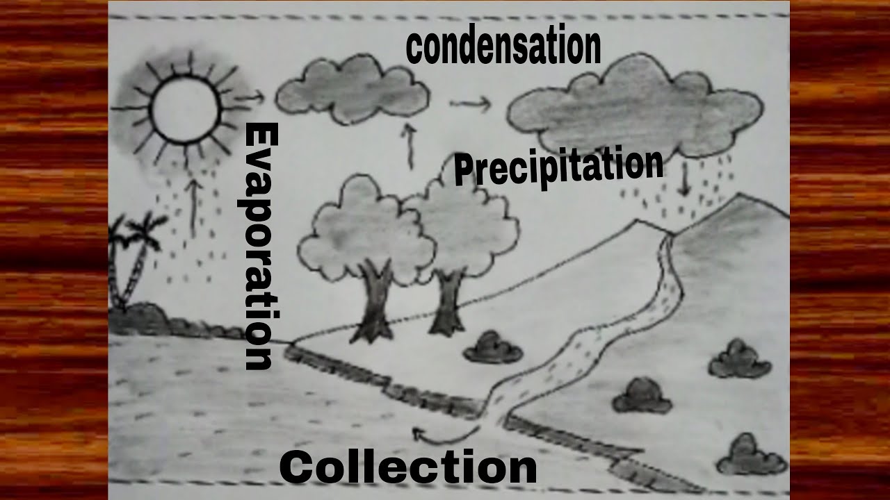 Draw Water Cycle for school project//Water cycle//@SRArtandDrawing ...