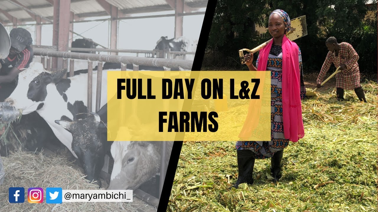 Full Day On L&Z Farms - YouTube