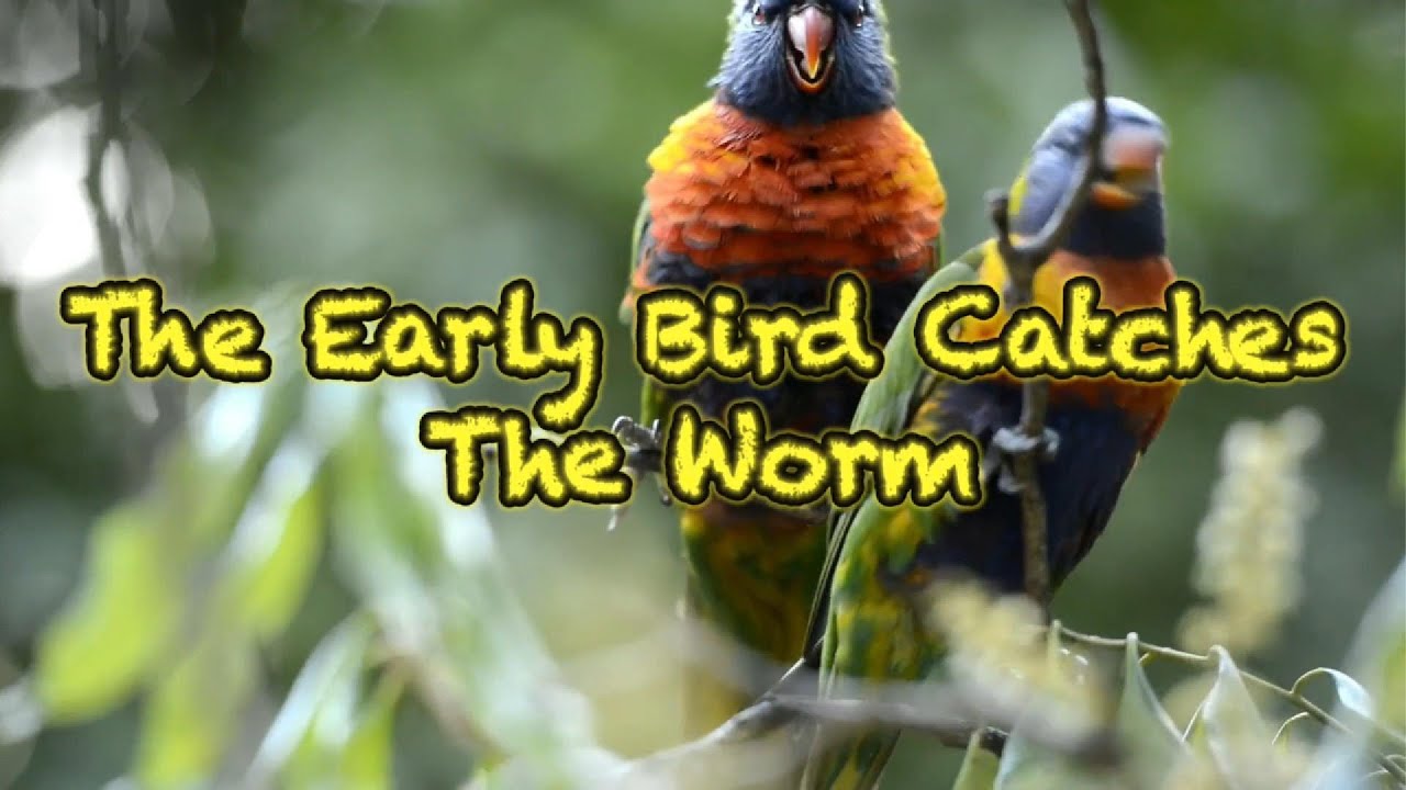 ES15: The Early Bird Catches The Worm - YouTube