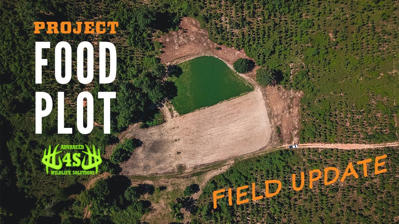 Project Plot Update - YouTube