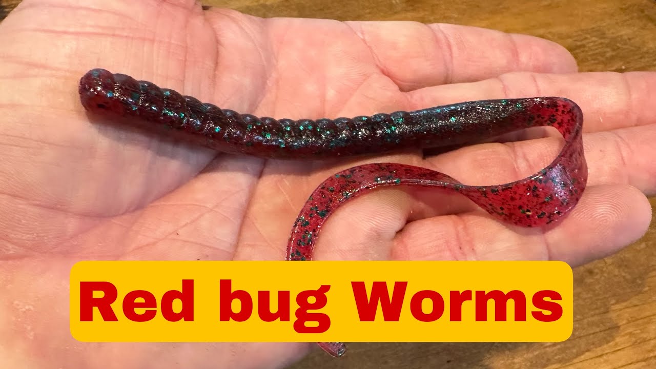 When A Redbug Colored Worm Outperforms All Other Colors…. - YouTube