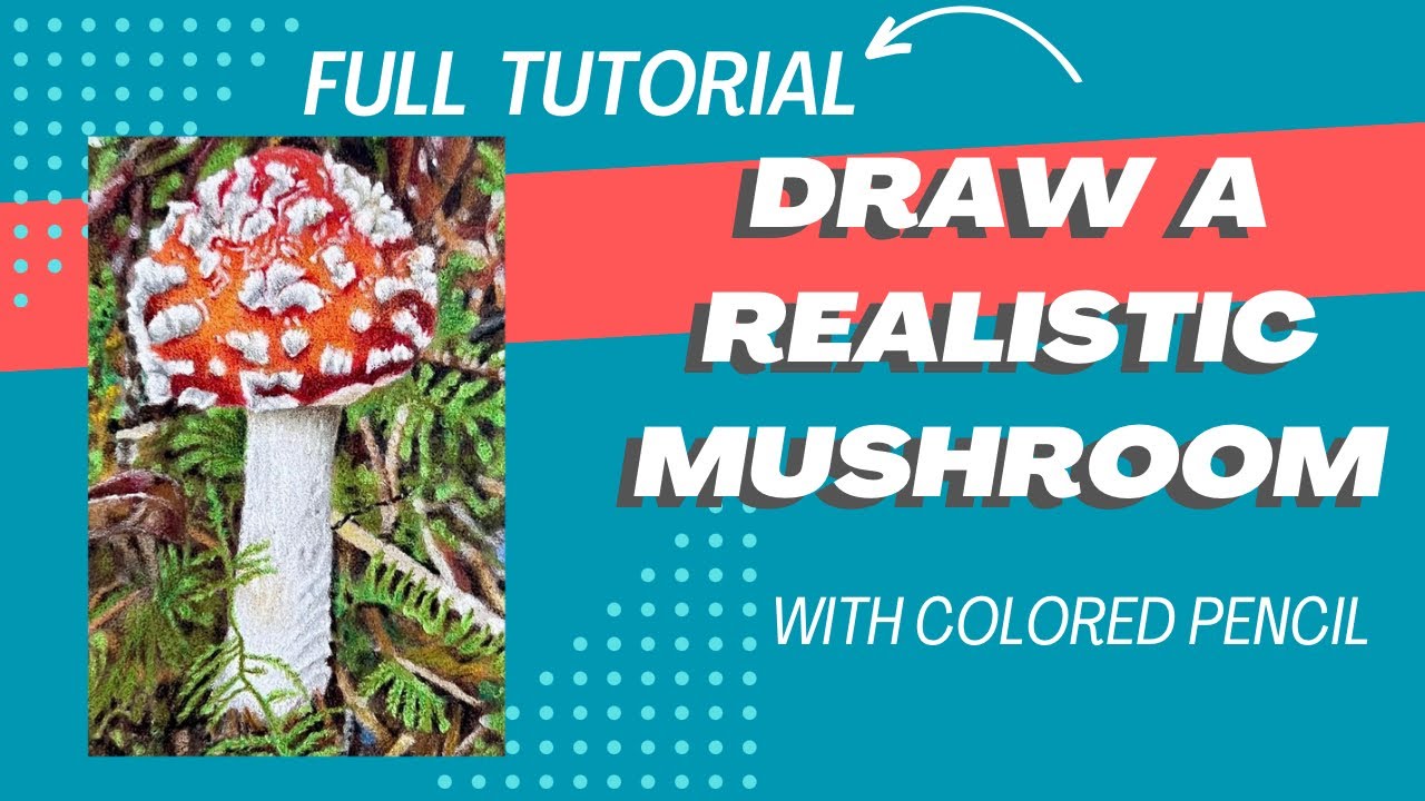 Draw a Realistic Mushroom with ONLY 24 Polychromos Artists' Color ...