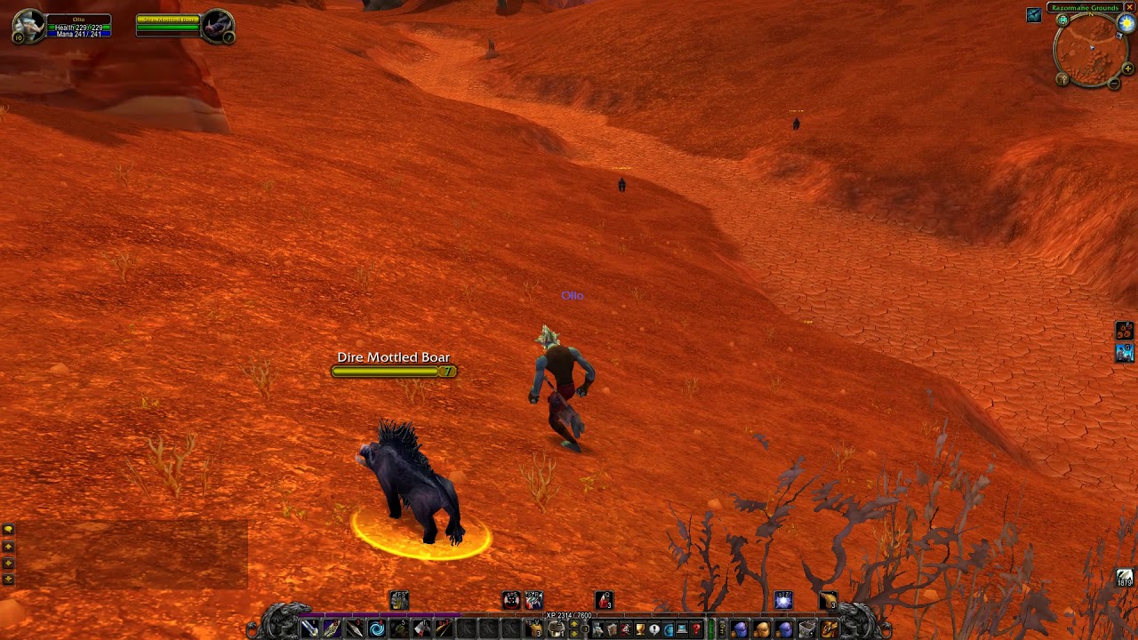Dire Mottled Boar Location (Durotar), WoW Classic - YouTube