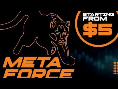 How To Set Up The Wallet Used For Meta Force - YouTube