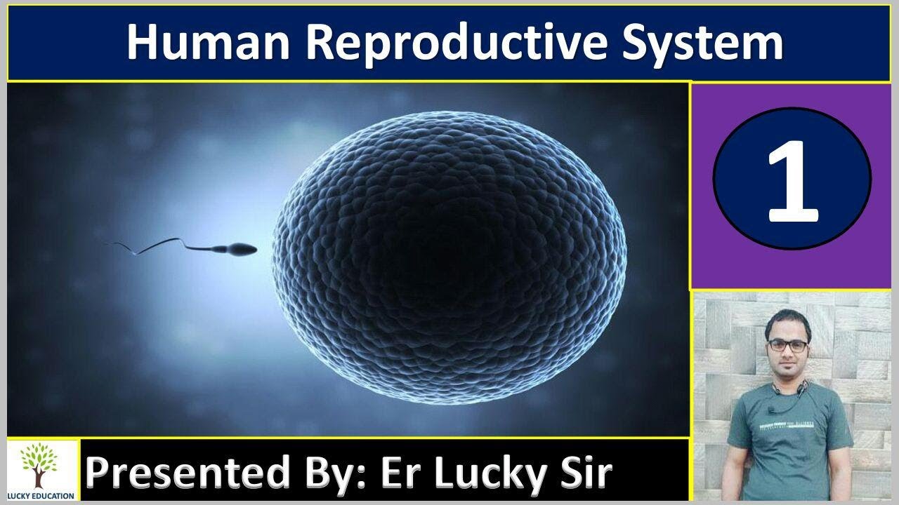 Human Reproductive System || Introduction || Part-1 || By Er. Lucky Sir ...