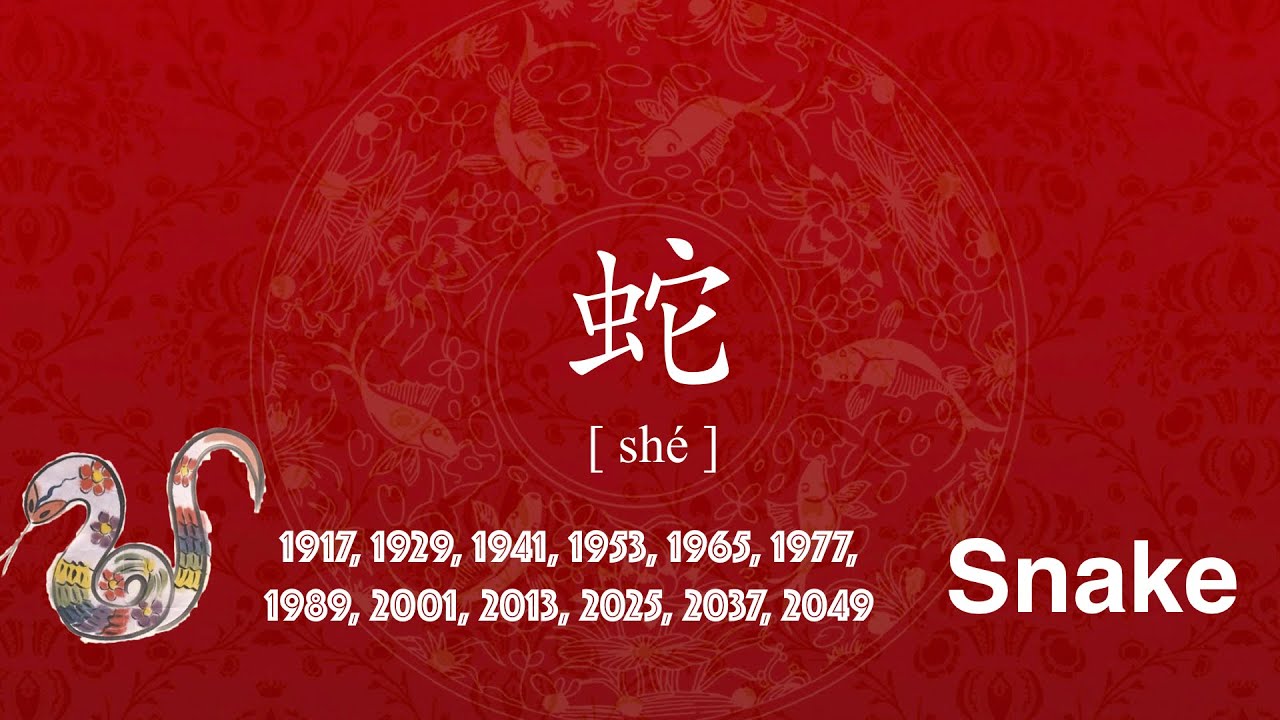 Is your Chinese Zodiac Sign 'Snake' + Mandarin Pronunciation 蛇 she ...