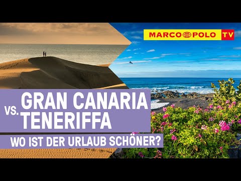 GRAN CANARIA vs. TENERIFFA - Die Traumziele der Kanaren im Vergleich!