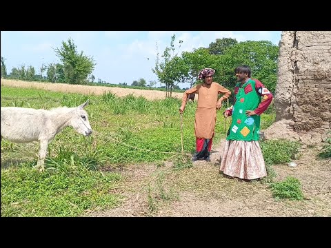 KAMLA  BECHARA//Funny video top comedy video Dr wajid Asif tallu Mahnoor malangi 