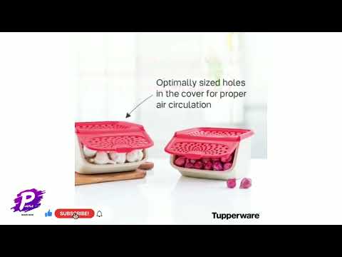 Tupperware l Mini Access Mate l Purple - since 2012