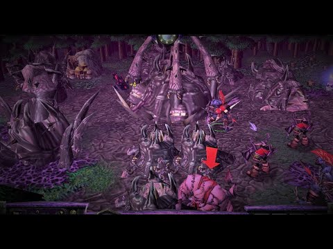 Warcraft 3 Showcase Test Race Gameplay - (Hour of Twilight) Faceless ...