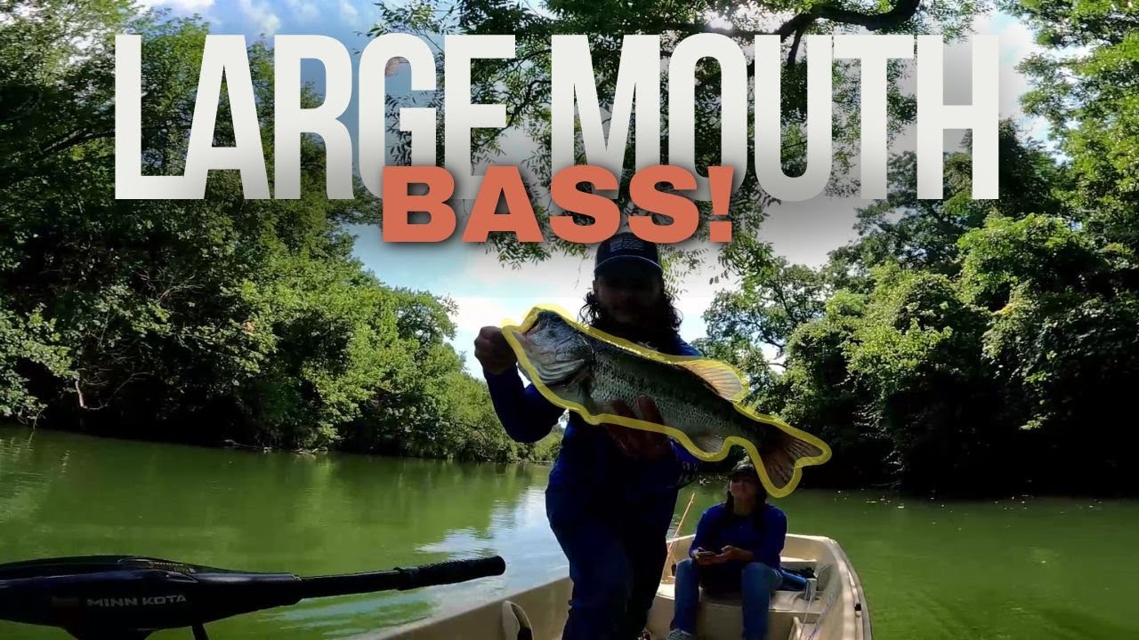 Bass Fishing! - YouTube