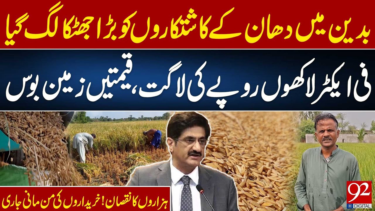 Rice Farmers in Crisis: Huge Losses as Costs Soar & Prices Crash ...