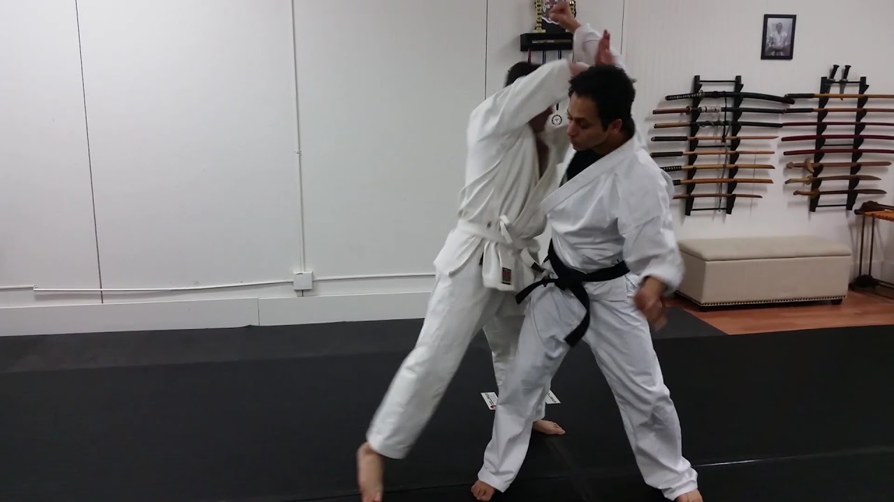 Practical Application of Gankaku Kata | Self-Defense Techniques ...